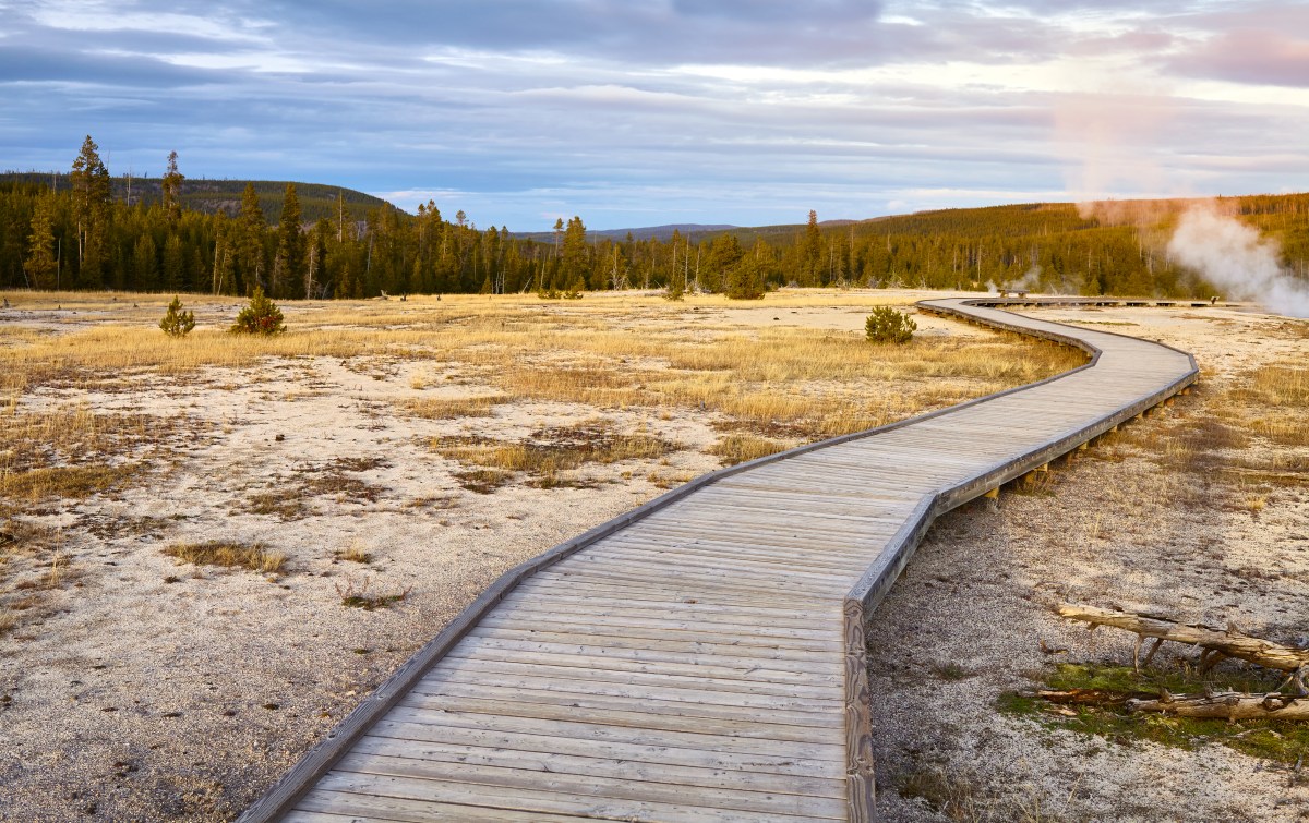 Top 10 Hidden Gems in West Yellowstone You Must Visit – Terra Nova ...