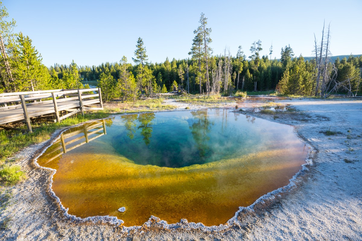 Yellowstone Year-Round: A Seasonal Guide – Terra Nova Cabins Blog